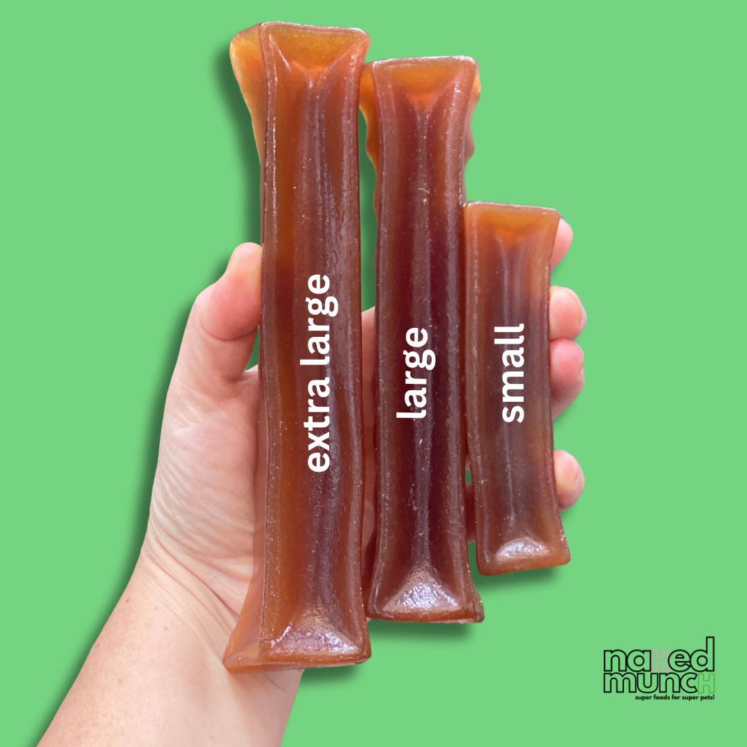 Bone Marrow Chews for Dogs | Australian Made | Log Lasting Dog Chews ...